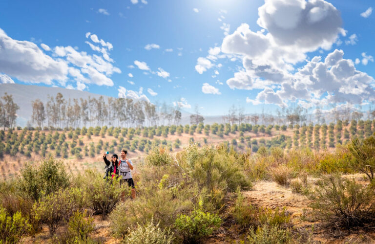 Plan Your Visit to Vail Lake Resort & KOA, Temecula CA